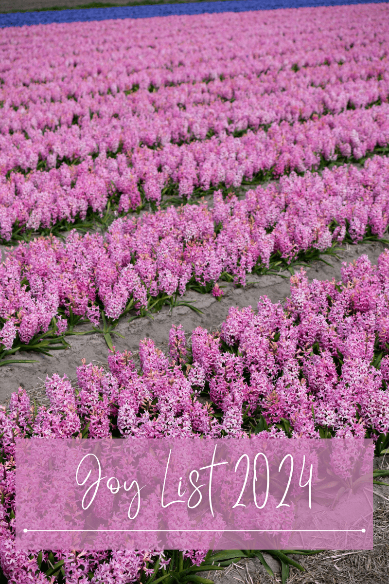 My Joy List for 2024 - Designing A Life Fantastic